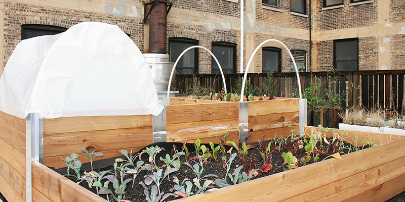 Rooftop Farms | Urban Agriculture Products | Green Roof Solutions